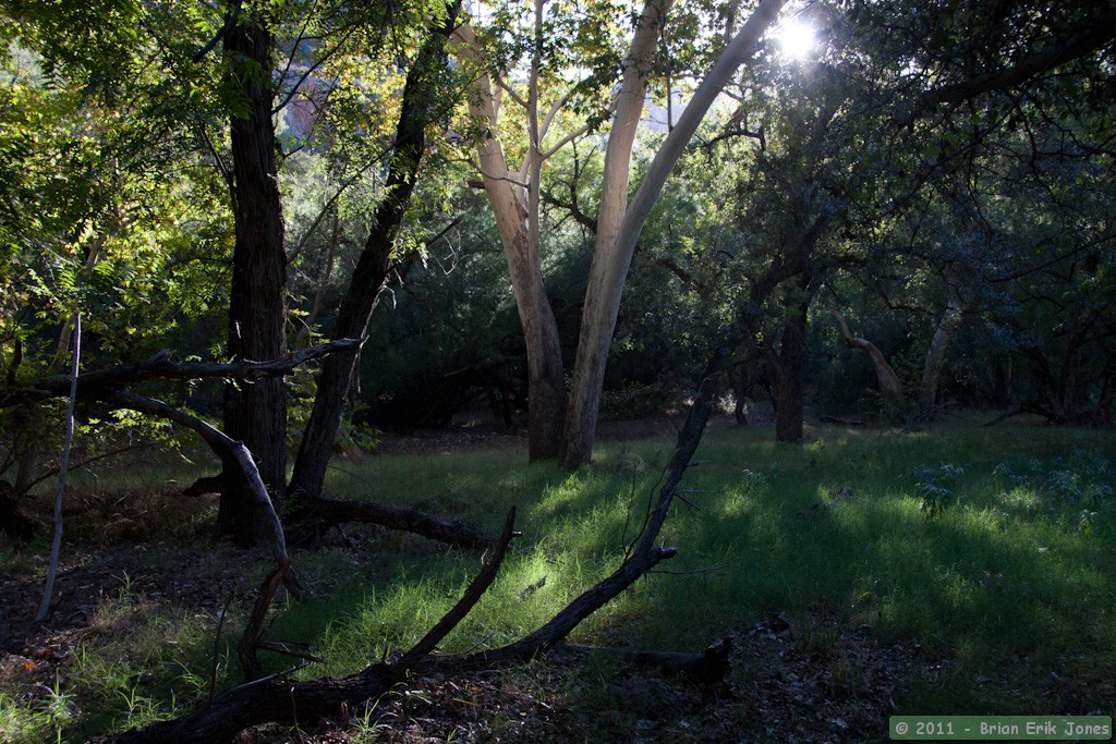 Aravaipa Canyon Backpack Day 1 - on 'The Beckoning'